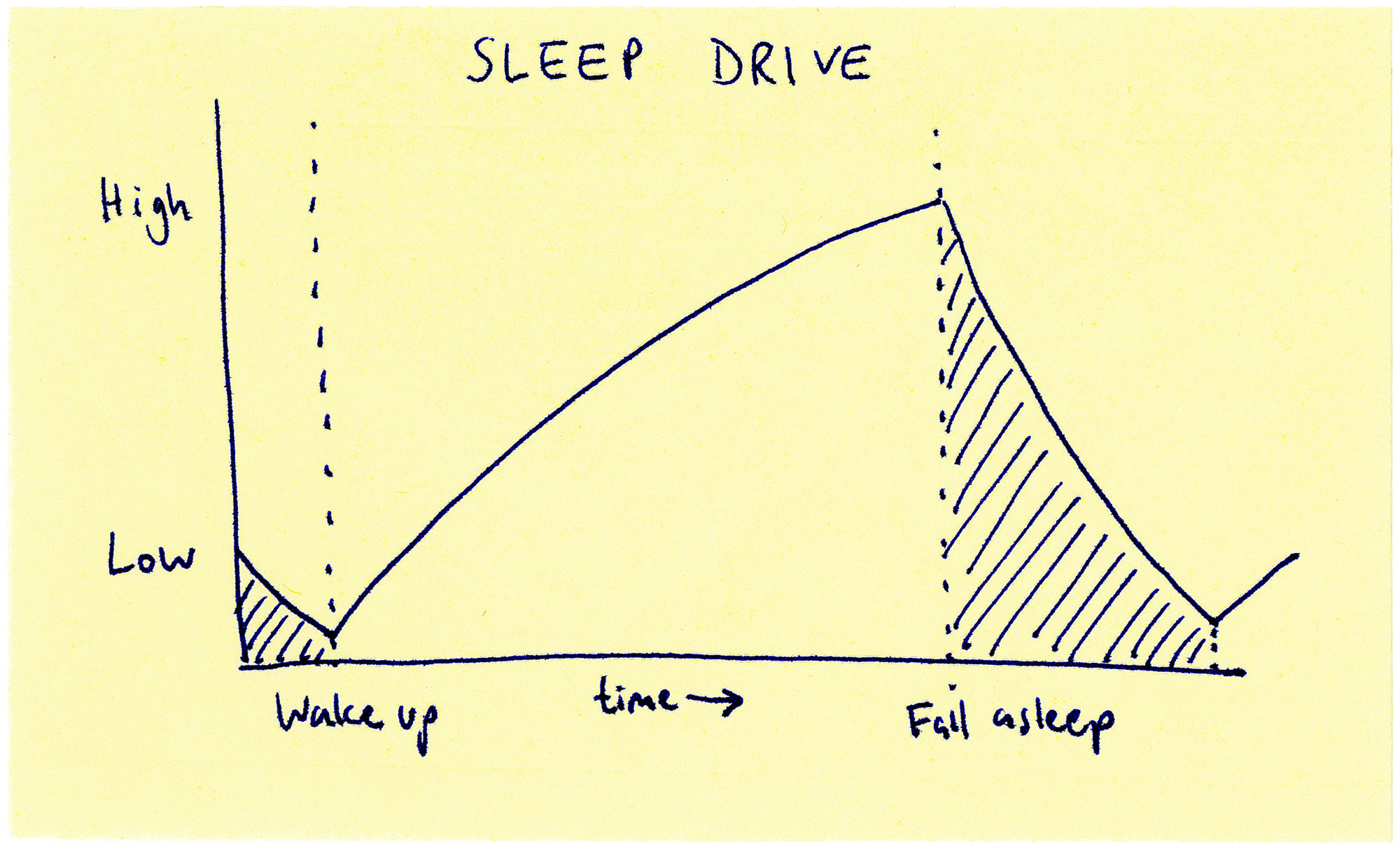 Understanding How Sleep Works - Sleep Good Night